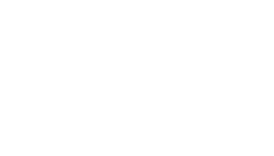 TRYGG Collection - Trygg Collective